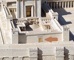 ¡Increíble! Hasta la derecha de la foto superior, se ve con claridad un ...